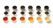 What are the Most Popular Types of Tea? Green, Black, Oolong, White & Chai