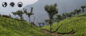 What is Geographical Indication (GI)