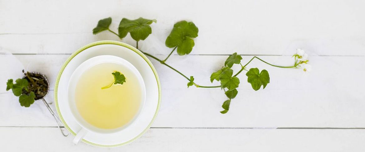 What are Antioxidants in Tea? Black, Green and White Tea Levels - Teabox
